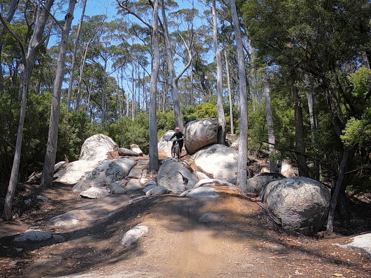 Ultimate Guide To Riding Blue Derby Tasmania - Tracks Less Travelled