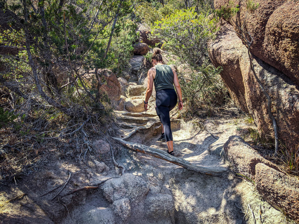 How to Summit The Incredible Mount Amos Hike - Tracks Less Travelled