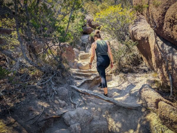 Mount Amos Hike, Tasmania | Your Ultimate 2023 Guide