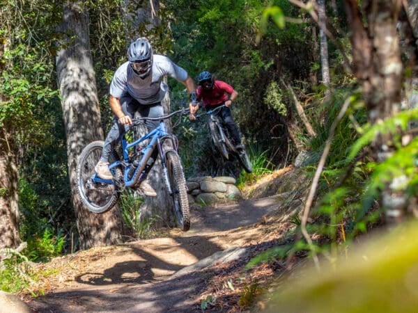 The Ultimate Guide To Mountain Biking Blue Derby Tasmania