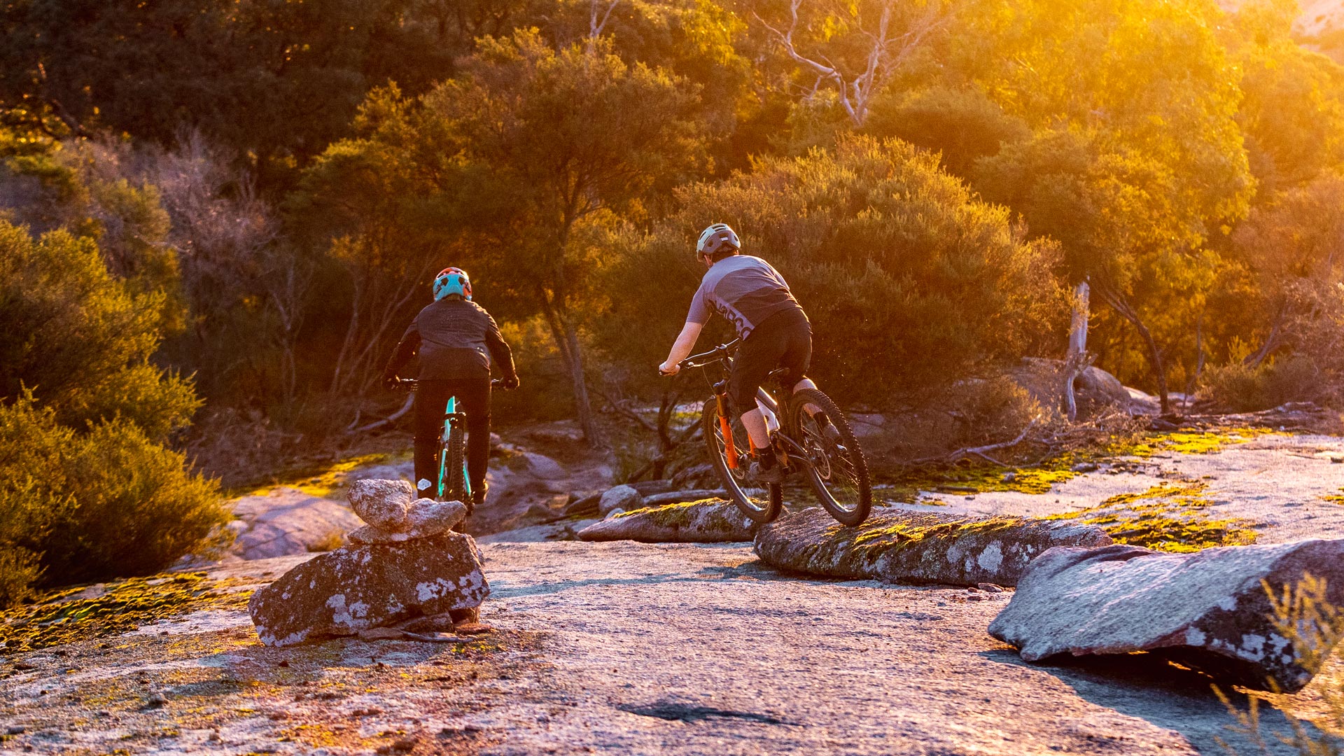 The Ultimate Guide To Mountain Biking Blue Derby Tasmania