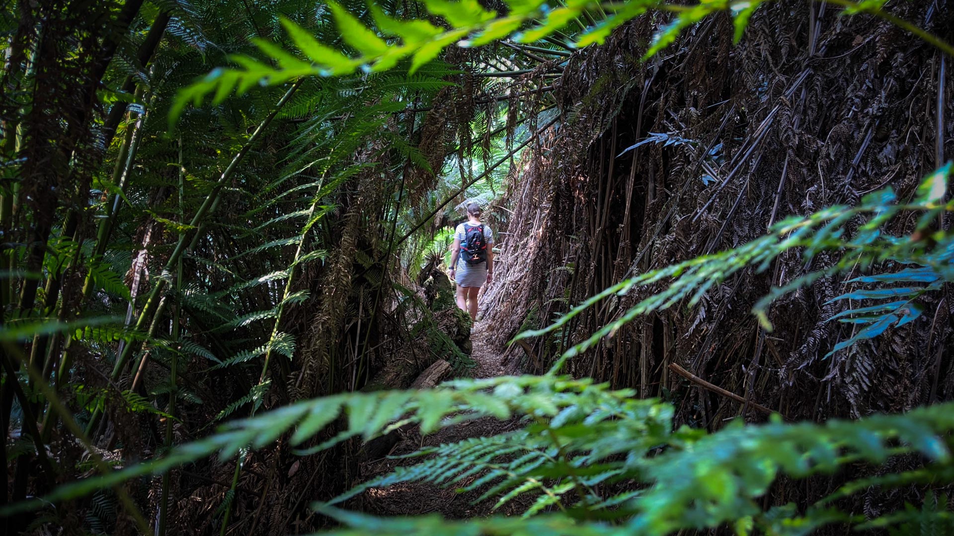 Holwell Gorge | Don't Stop At The First Waterfall