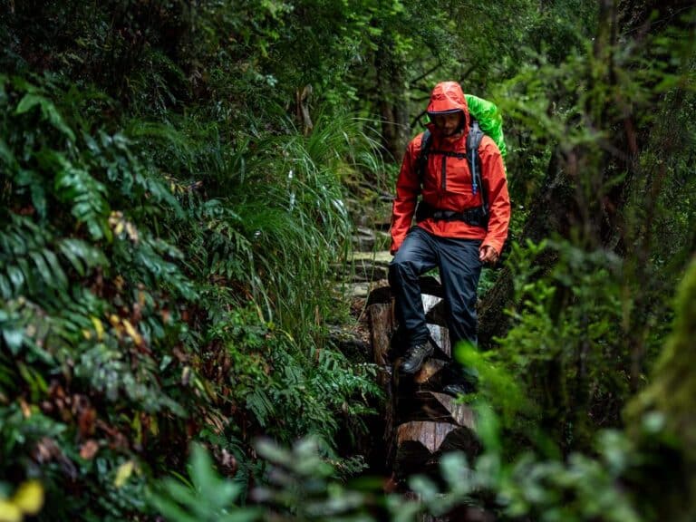 Frenchmans Cap, Tasmania | Your Ultimate Guide