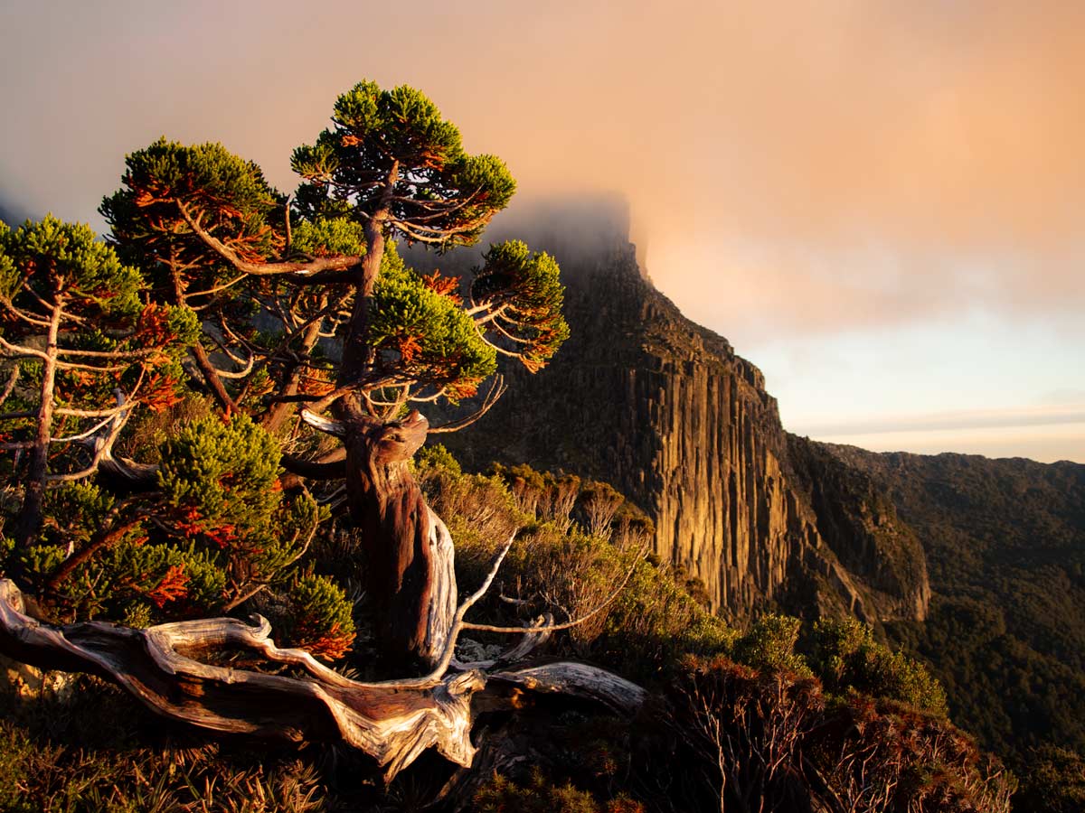 Mount Anne Circuit | An Unmissable Hike For The Adventurous