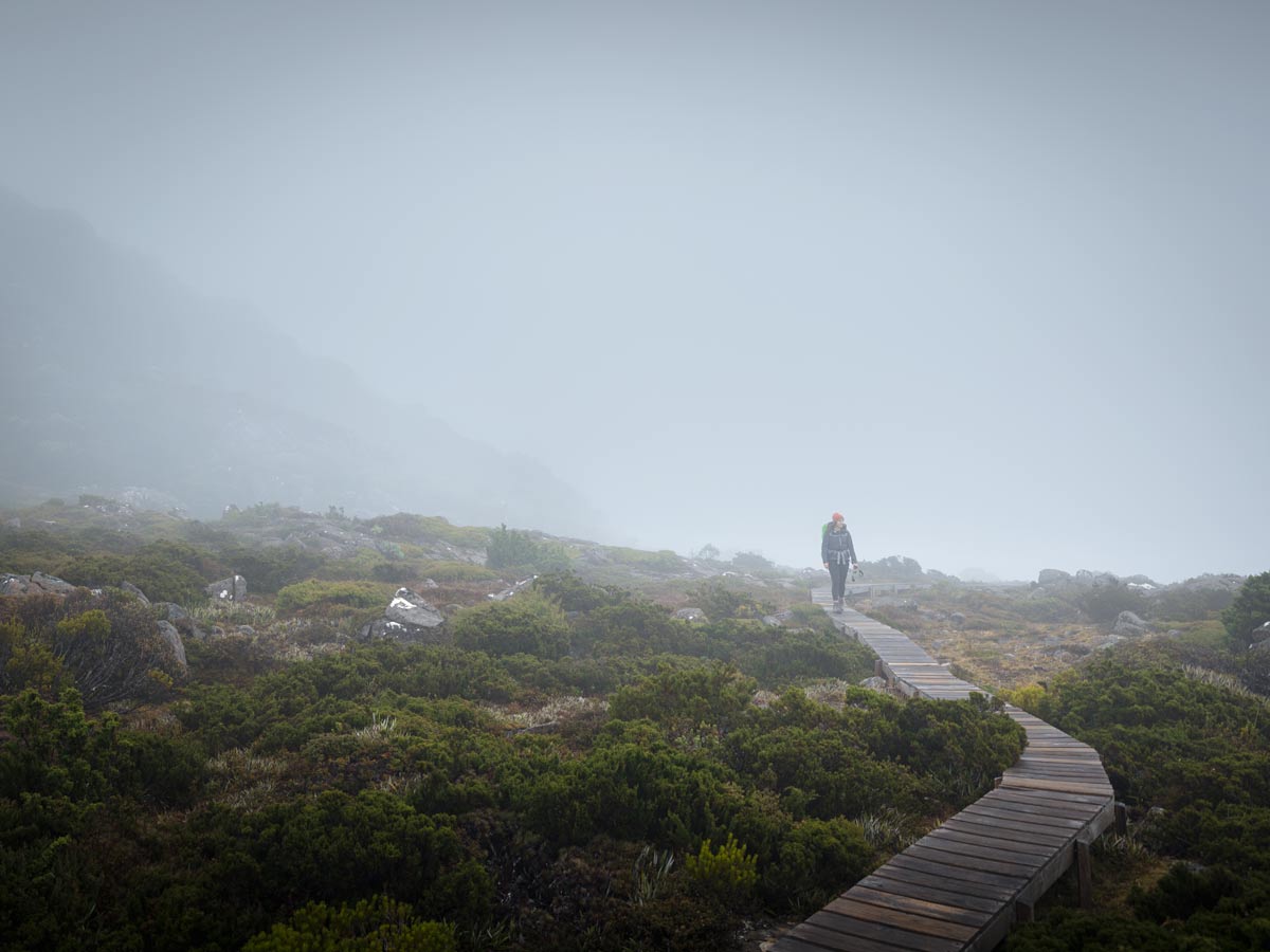 Mount Field National Park | Your Ultimate Travel Guide For 2024