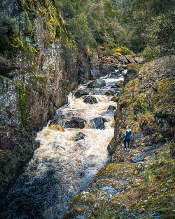 Guide Falls | An Easy Waterfall Not To Miss In Northwest Tasmania