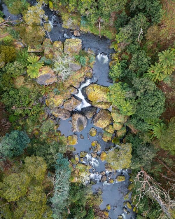 Guide Falls | An Easy Waterfall Not To Miss In Northwest Tasmania