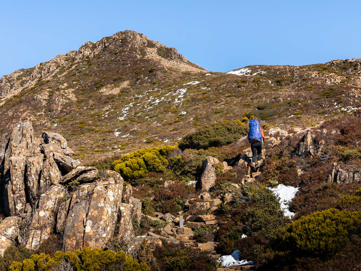 Hartz Mountains National Park | Your Complete Guide