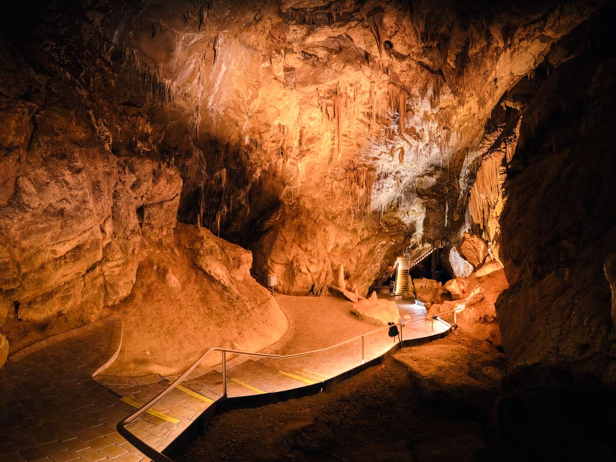 Hastings Caves and Thermal Springs | The Perfect Day Trip From Hobart