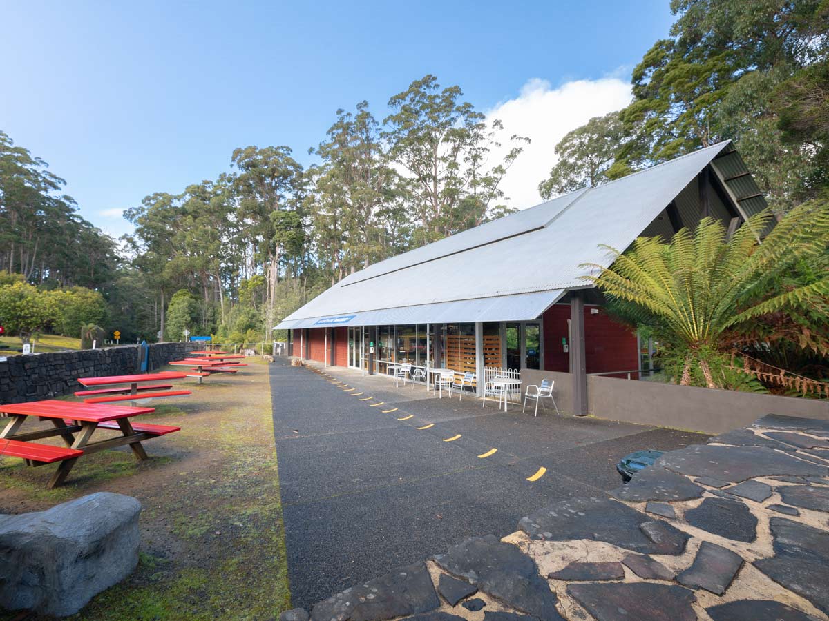 Hastings Caves and Thermal Springs | The Perfect Day Trip From Hobart