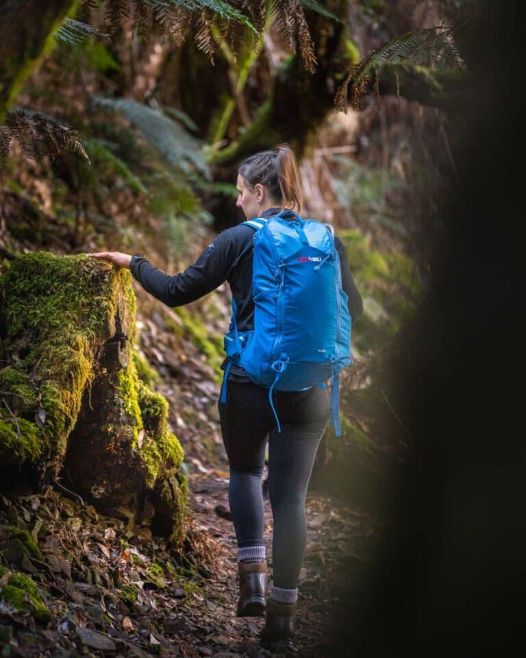 Mathinna Falls, Tasmania | How To Explore All Four Tiers