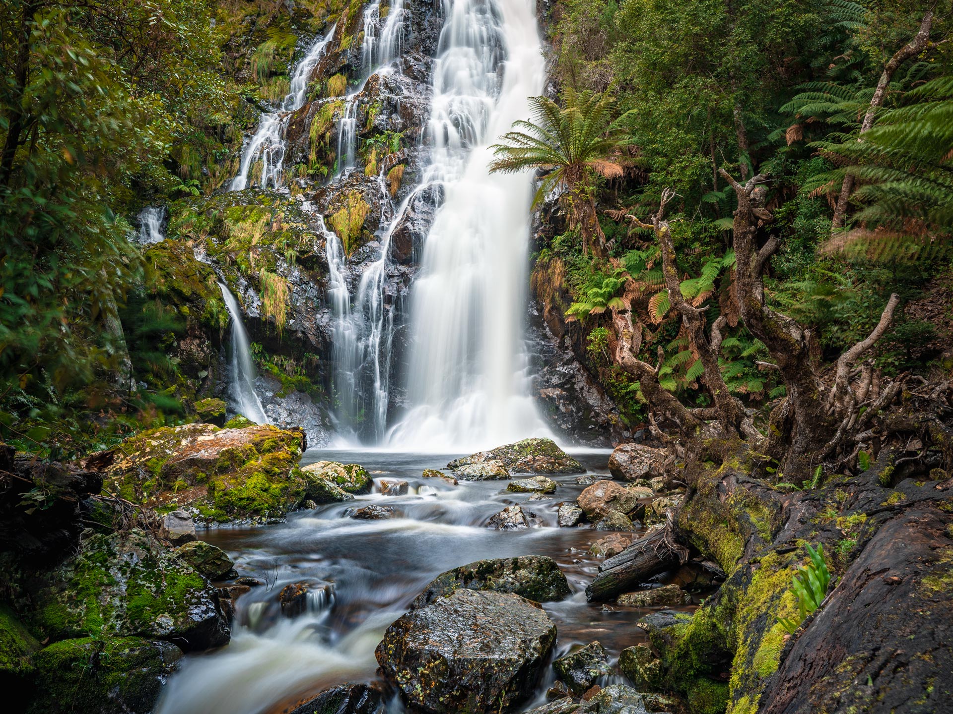 Mathinna Falls, Tasmania | How To Explore All Four Tiers