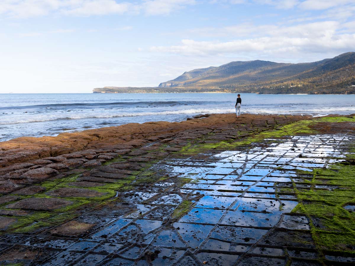 The 7 Best National Parks In Tasmania To Explore