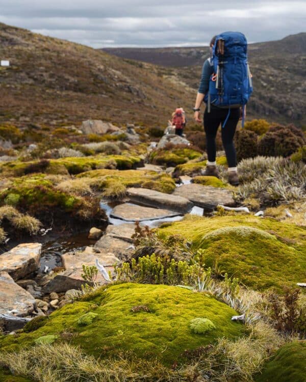 Rodway Range Circuit | The Best Way To Explore The Tarn Shelf
