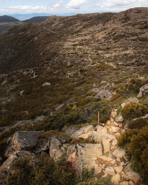 Mount Field West | Summiting Mt Field's Highest Peak
