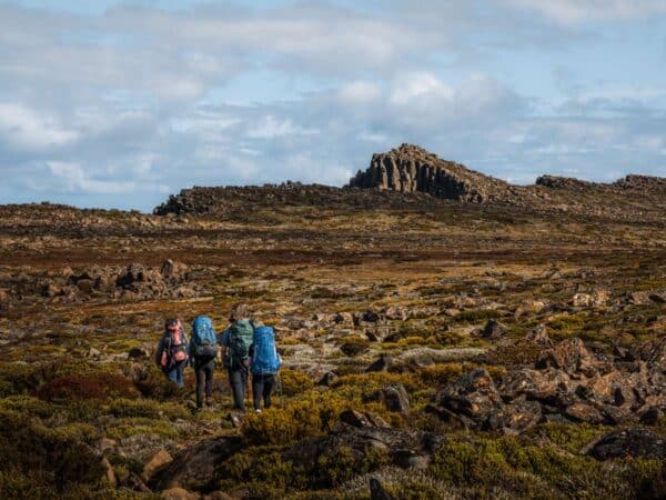 The 7 Best National Parks In Tasmania To Explore