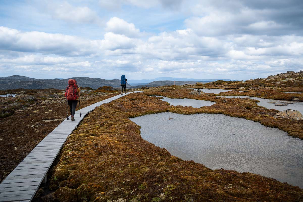Mount Field West | Summiting Mt Field's Highest Peak