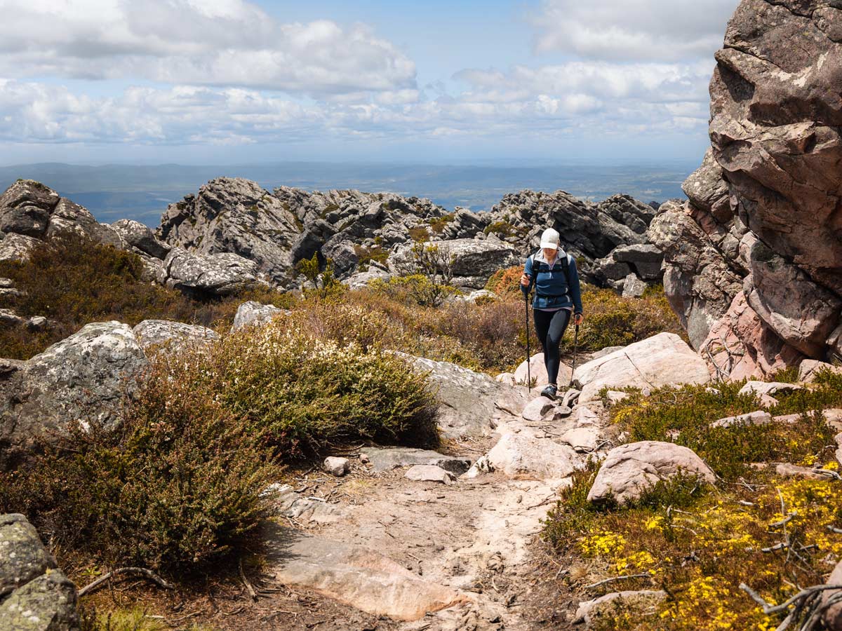 Mt Roland Summit | Which Trail Should You Choose?