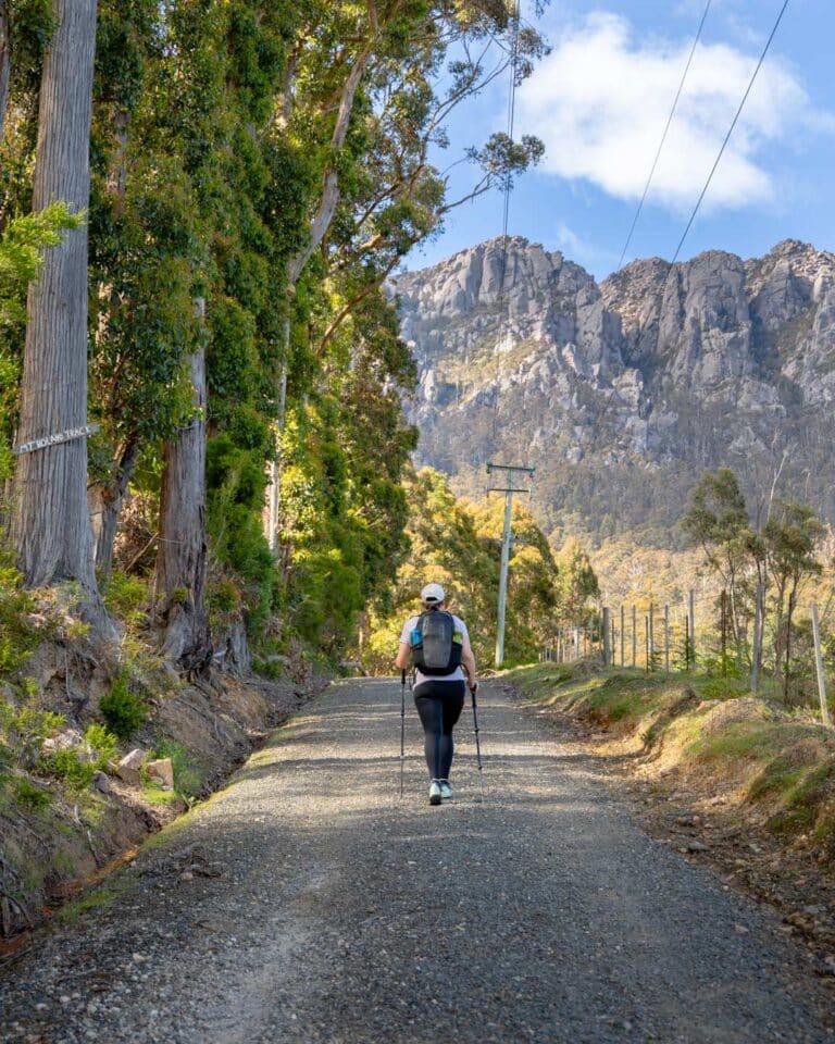 Mt Roland Summit | Which Trail Should You Choose?