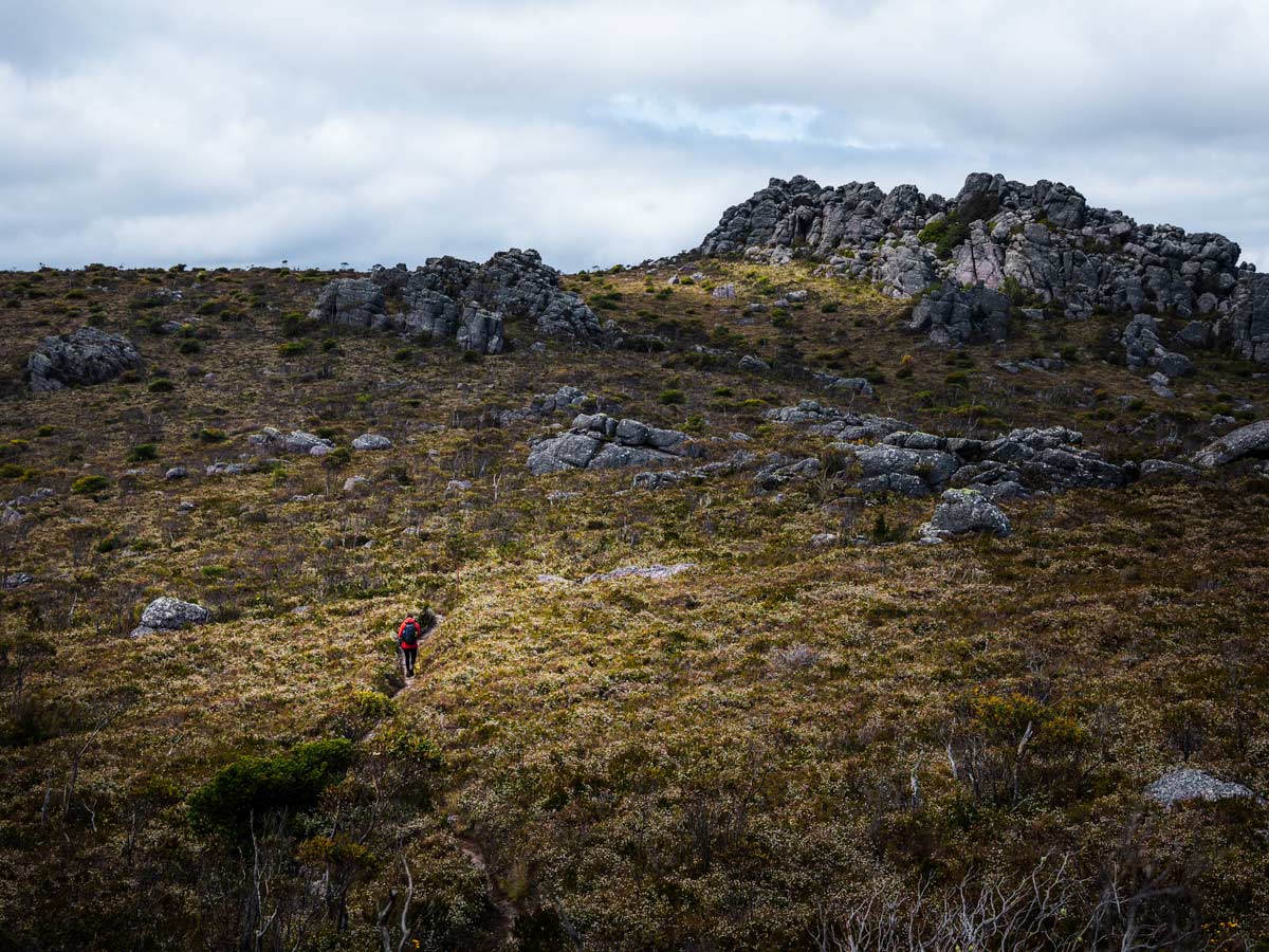 Mount Roland Tasmania | Everything You Need To Know To Explore The Reserve