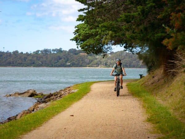 25 Best Things To Do In St Helens, Tasmania