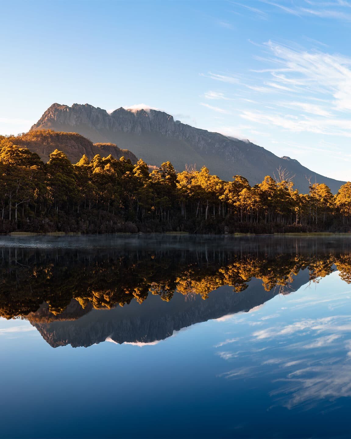 Mount Roland Tasmania | Everything You Need To Know To Explore The Reserve