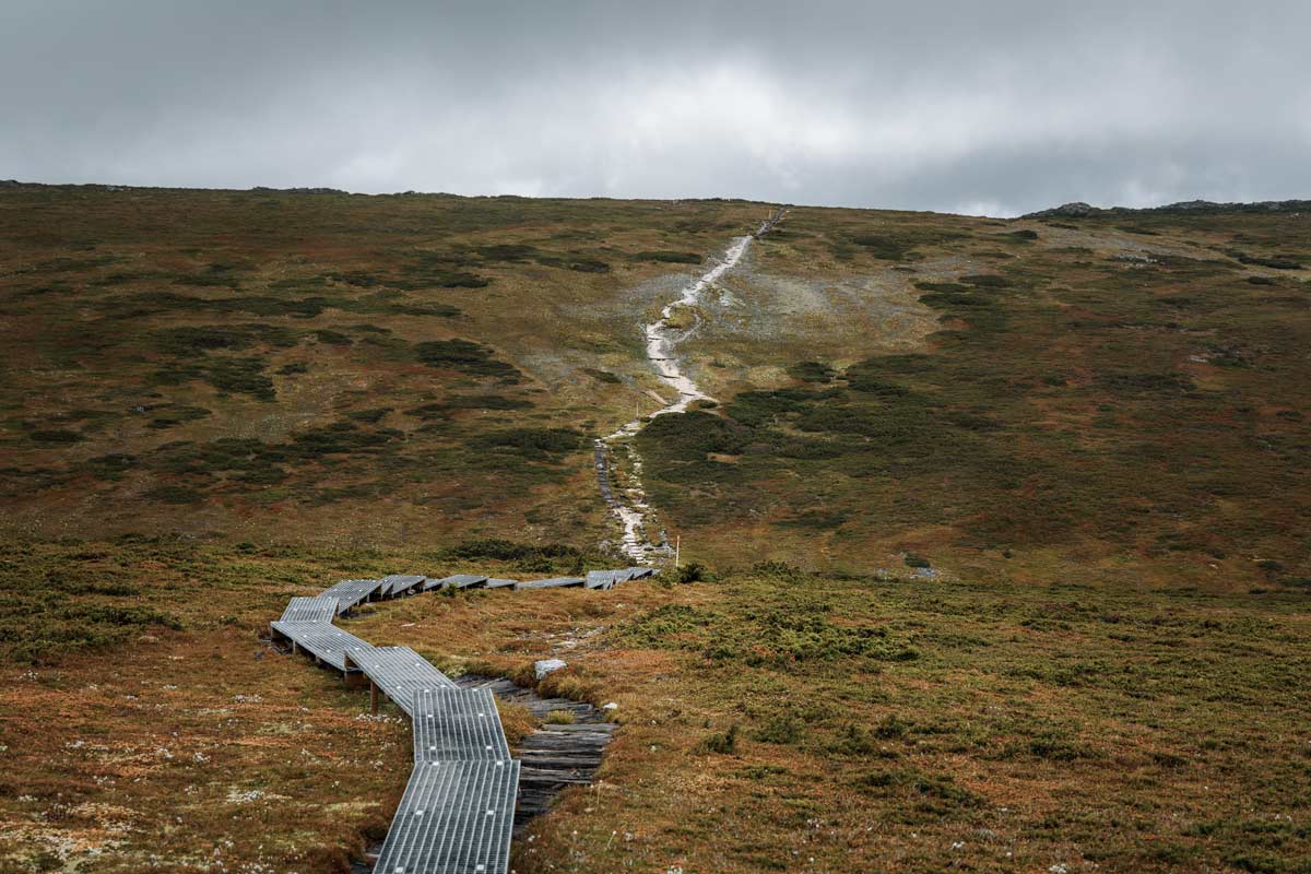 Barn Bluff | Cradle Mountain’s Best Multi-Day Hike