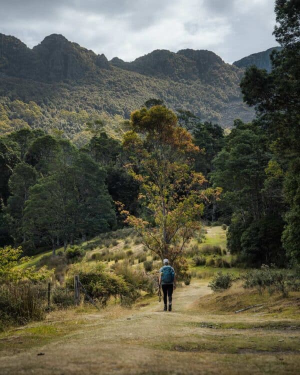Quamby Bluff | The Great Western Tiers’ Most Accessible Walk