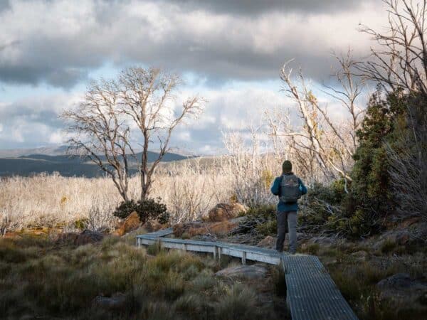 Exploring The Beauty Of Devil’s Gullet | Your Ultimate Guide