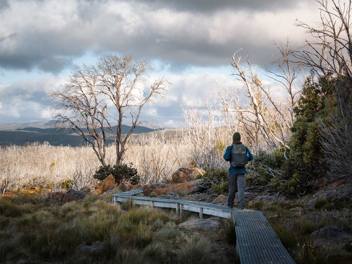 Exploring The Beauty Of Devil’s Gullet | Your Ultimate Guide