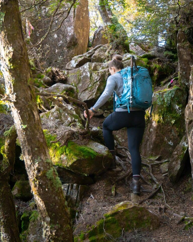 Projection Bluff | A Must-Do Hike In Tasmania’s Central Plateau