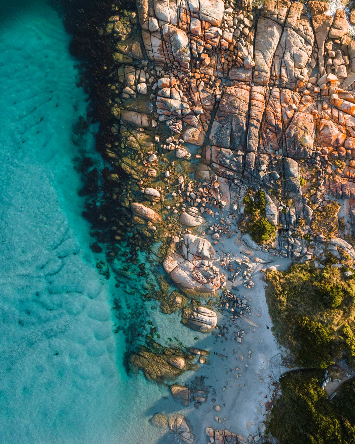 21 Best Things To Do In Bicheno, Tasmania