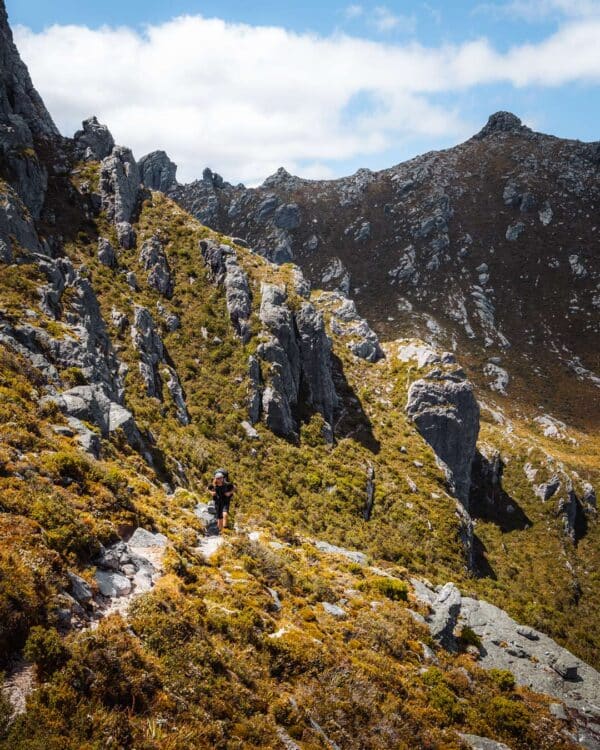 Osprey Aether Plus 85 Review | The Pack That Does It All