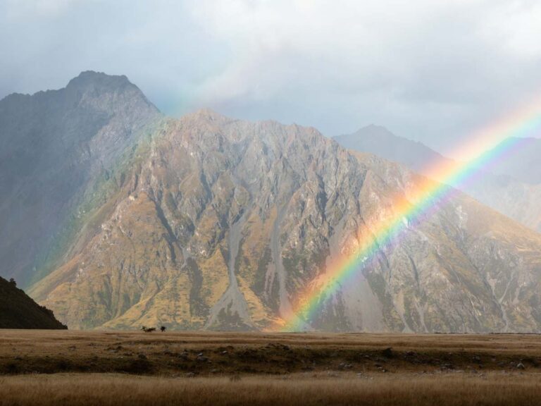 Mt Cook National Park | The Ultimate Guide For First Timers