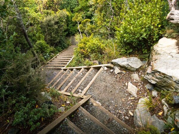 Sealy Tarns Track, Mt Cook | Your Ultimate 2024 Guide