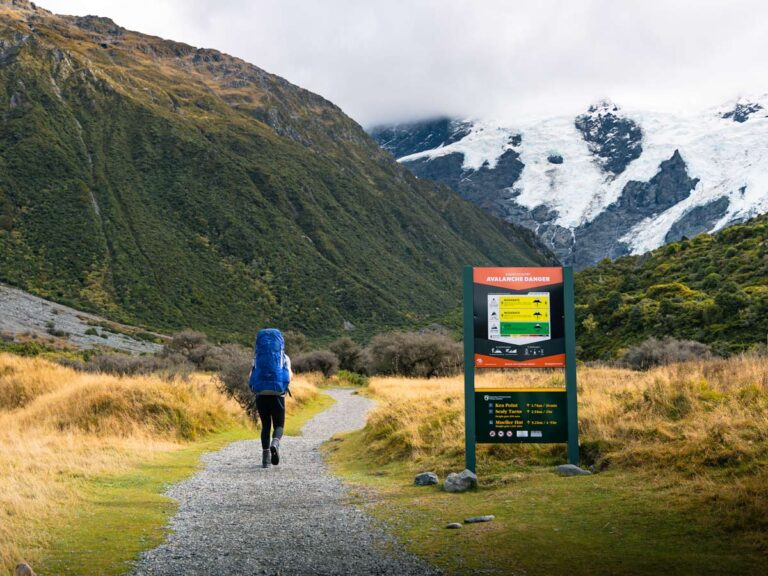 Sealy Tarns Track, Mt Cook | Your Ultimate 2024 Guide