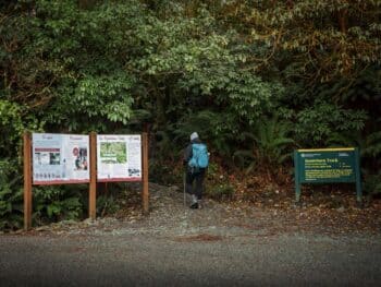Key Summit Track | Milford Sound’s Best Short Walk For All Levels