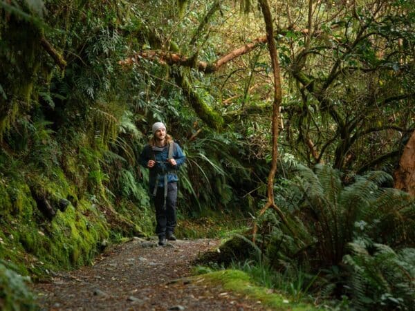 Key Summit Track | Milford Sound’s Best Short Walk For All Levels