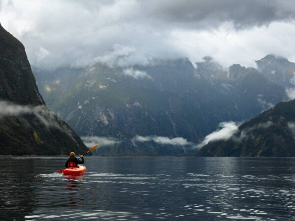 Milford Sound Cruise & Kayak Tour | Our Honest Review