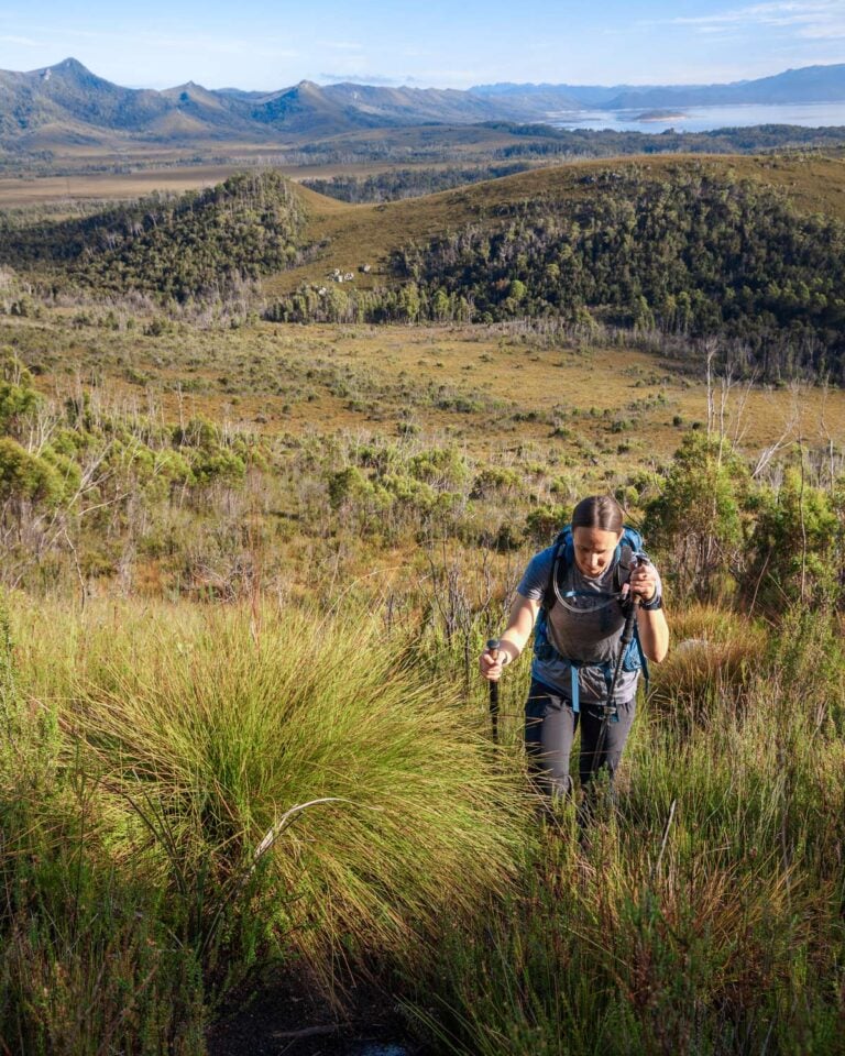 The Sentinel Range Hike | A Hidden Gem In Southwest Tasmania