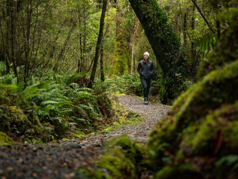 Humboldt Falls Track | A Hidden Gem Along Milford Road