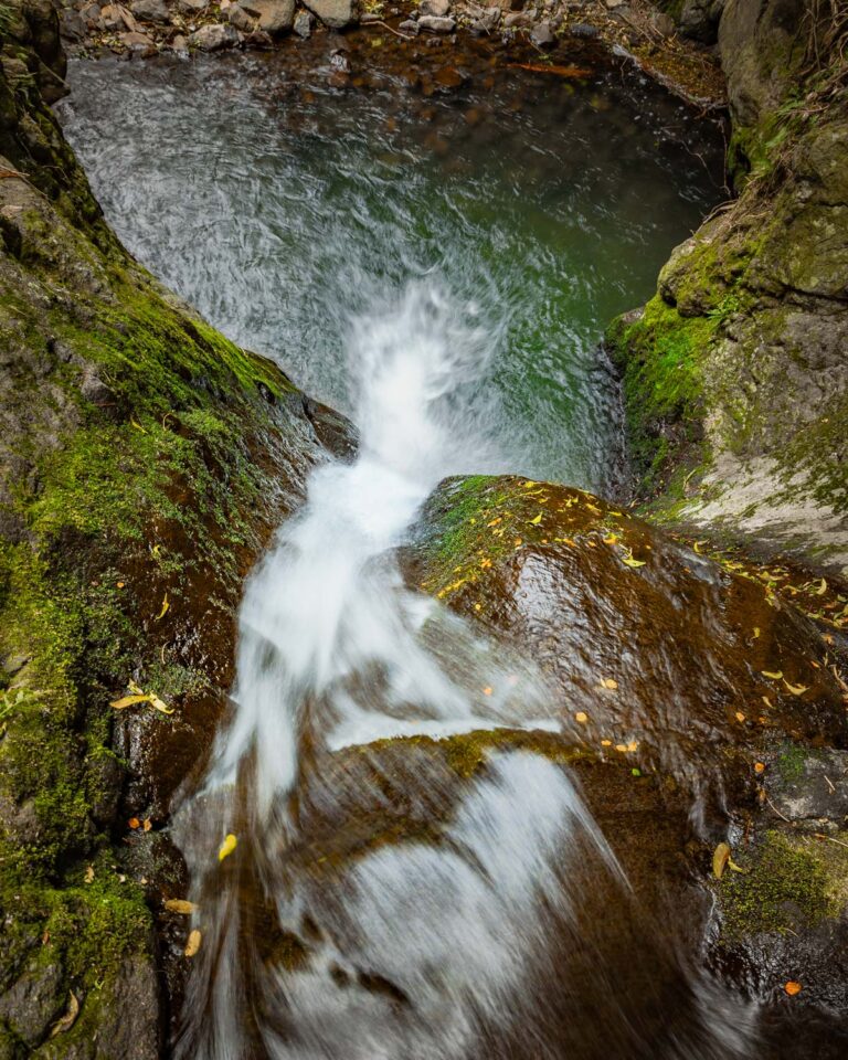 Hinewai Falls Loop | The Best Short Walk In The Hinewai Reserve