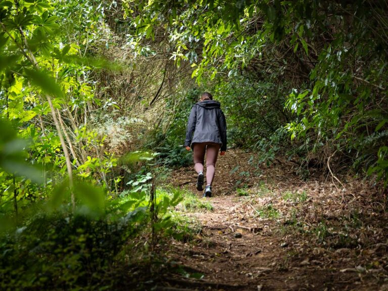 Hinewai Falls Loop | The Best Short Walk In The Hinewai Reserve