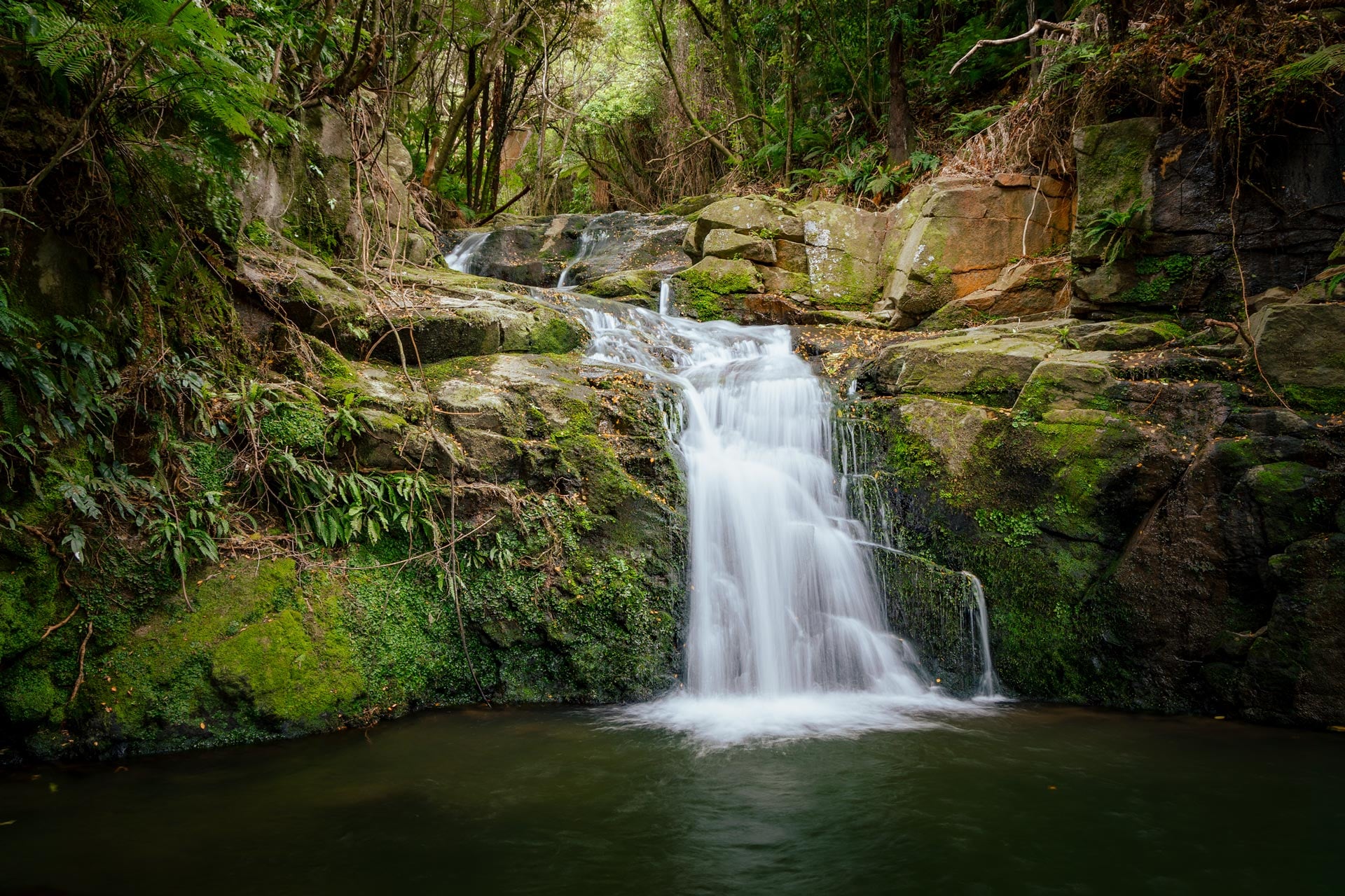 Hinewai Falls Loop | The Best Short Walk In The Hinewai Reserve