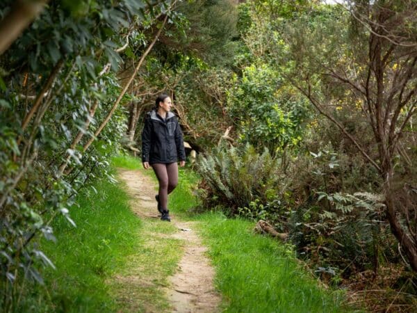 Hinewai Falls Loop | The Best Short Walk In The Hinewai Reserve