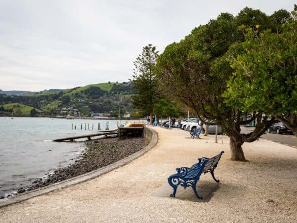 17 Best Things To Do In Akaroa For The Adventurous