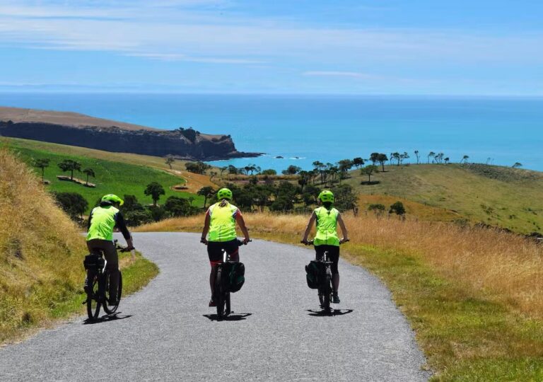 17 Best Things To Do In Akaroa For The Adventurous