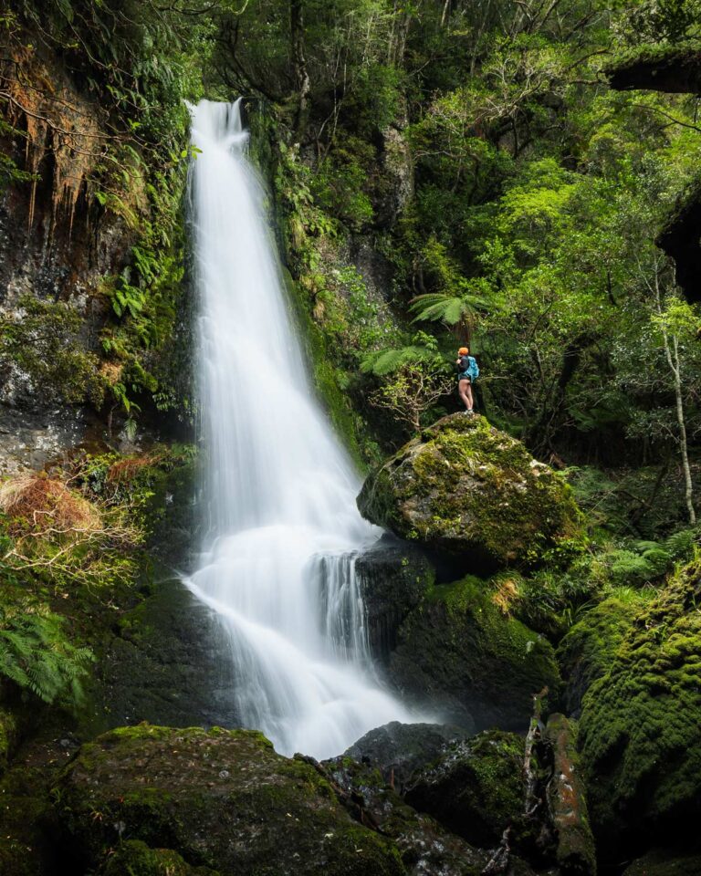 Waipohatu Waterfalls Track | The Catlins Best Kept Secret
