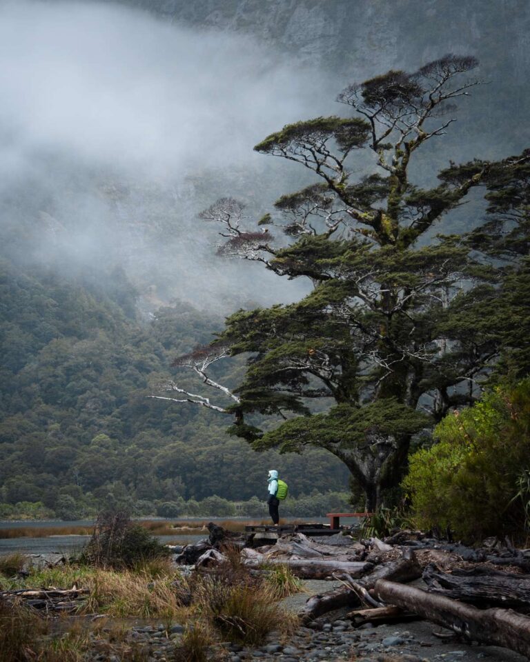 24 Epic Walks In Milford Sound | Your Complete Hiking Guide