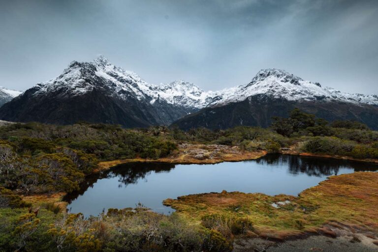 24 Epic Walks In Milford Sound | Your Complete Hiking Guide